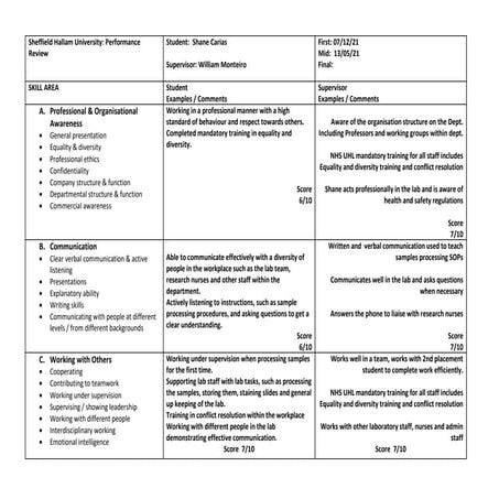 SC Performance review form (3 months) | PPT