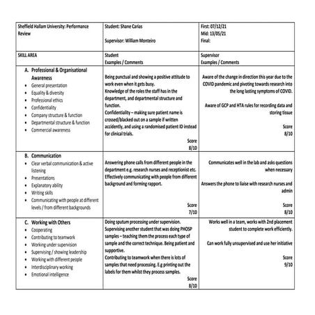 SC Performance review form (7 months) | PPT | Free Download