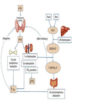 scratch tables elecs.pptx