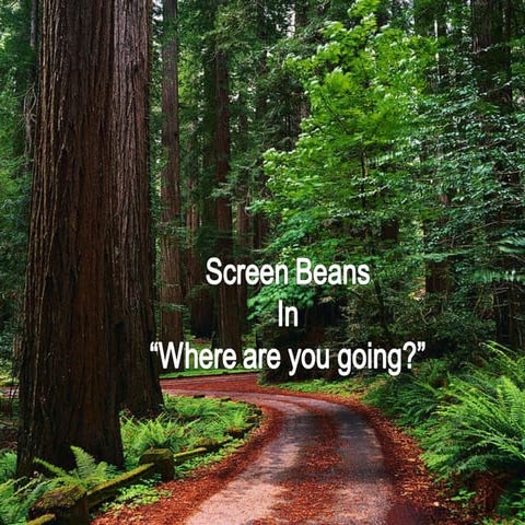 Screen Beans | PPT
