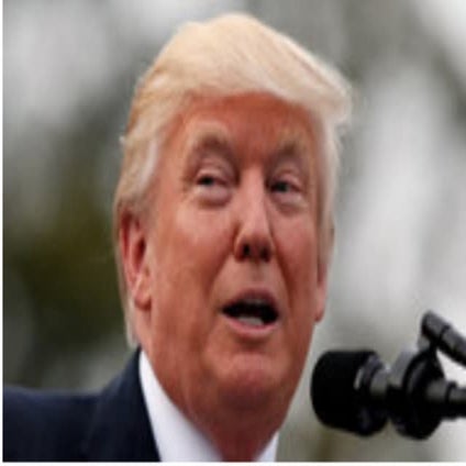 Trump makeup job | PDF