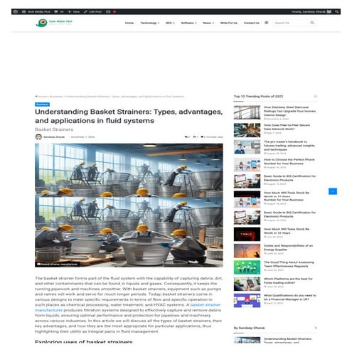 Understanding Basket Strainers: Types, advantages, and applications in ...