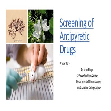 Handling And Routes Of Drug Administration Of Experimental Animals Used ...