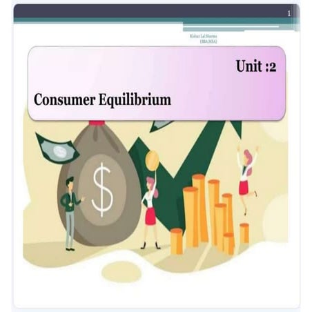 ECONOMICS PROJECT - CONSUMER EQUILIBRIUM B | PDF
