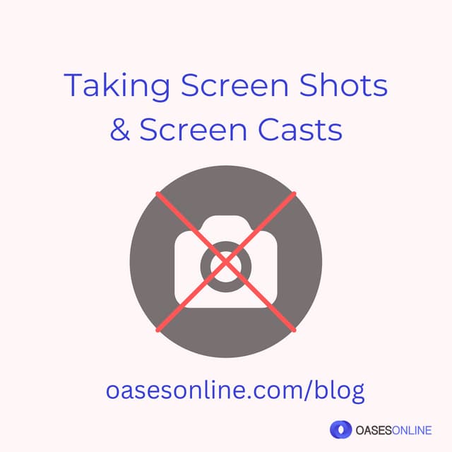 Take Effective Screen Shots | PDF