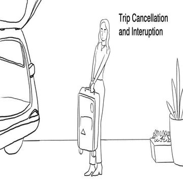 MBE Travel Insurance - Storyboards by JX | PDF