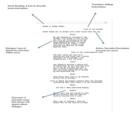 Script annotaions | PDF