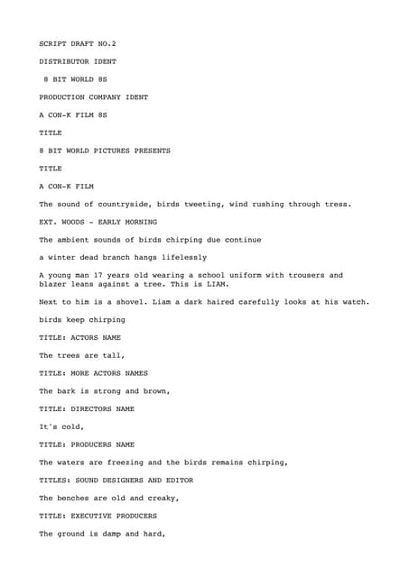 Shane's first draft of script | PDF