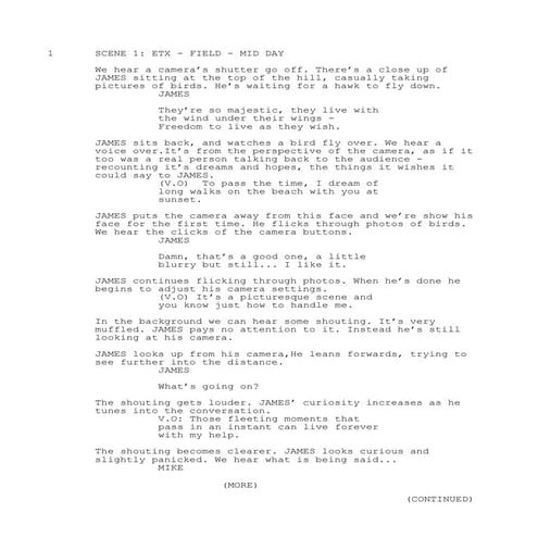 The project - Opening Scene Script | PDF
