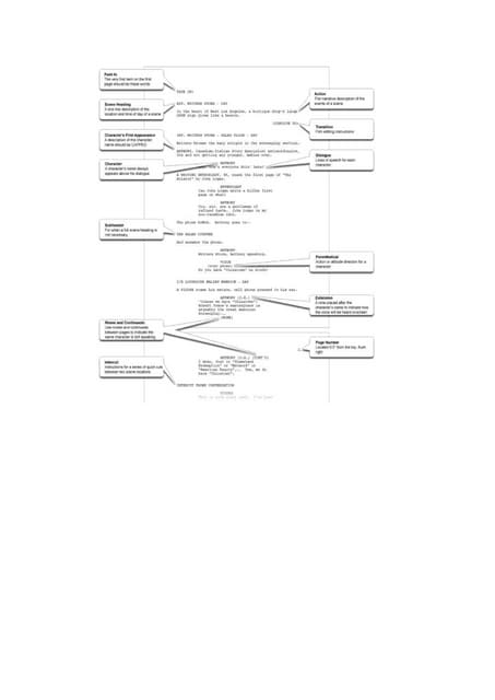 Script writing conventions | DOCX