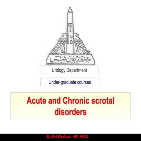 Scrotal disorders | PDF