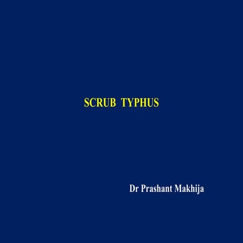 Scrub typhus | PPT