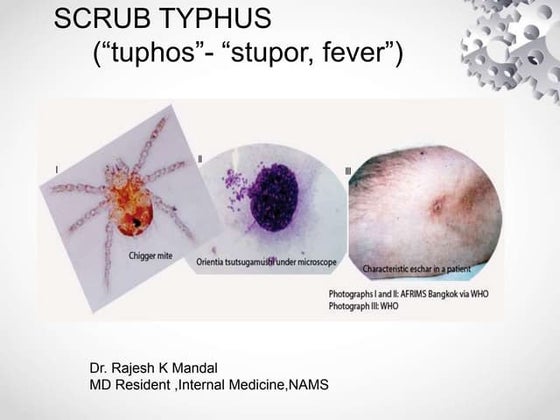 Monkey Pox Virus | PPT