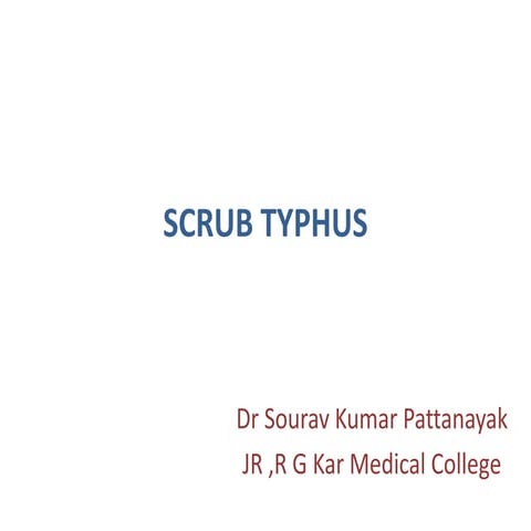 Scrub typhus | PPT