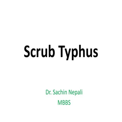 Scrub typhus | PPTX