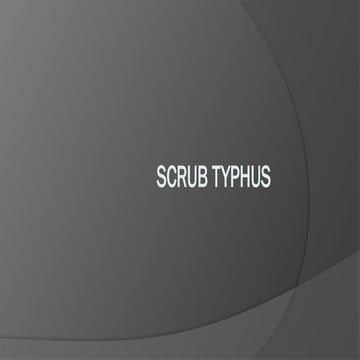 SCRUB TYPHUS general medicine mbbs final | PPTX