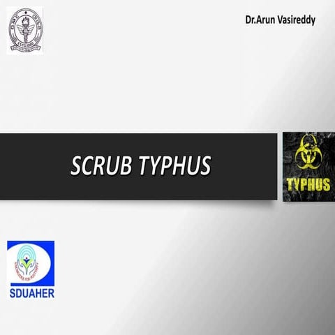 Scrub typhus 2016 Epidemiology - Symptoms - Diagnosis - Management | PPTX