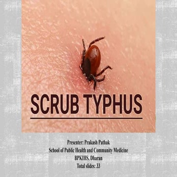 Scrub typhus prakash pathak | PPT