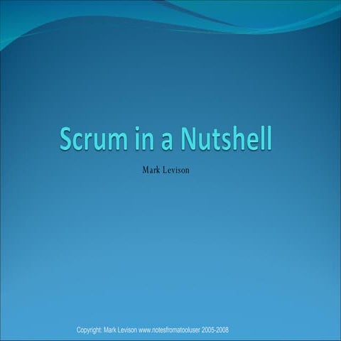Scrum In A Nutshell Final Mar 08 | PPT | Technology & Computing