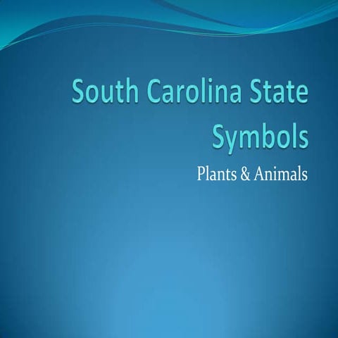 South Carolina State Symbols | PPTX