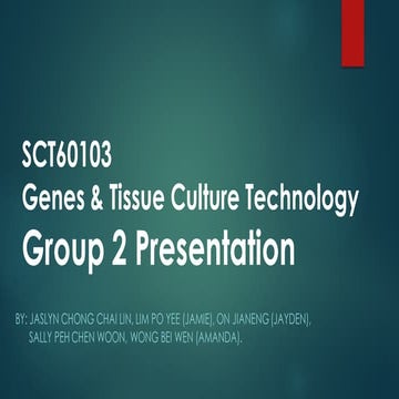 SCT60103 Group 2 Presentation | PDF