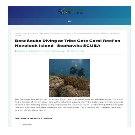 Explore the best scuba diving at the tribe gate dive site, Havelock ...