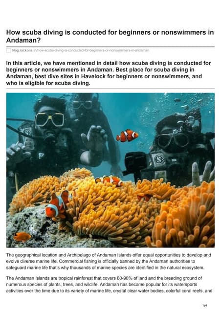 Precautions and Safety Tips for Snorkelling in Andaman | PDF