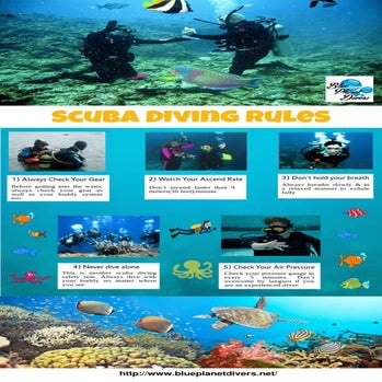 Scuba Diving Rules | PDF