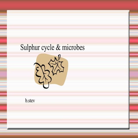 Sulphur cycle & microbes | PPT