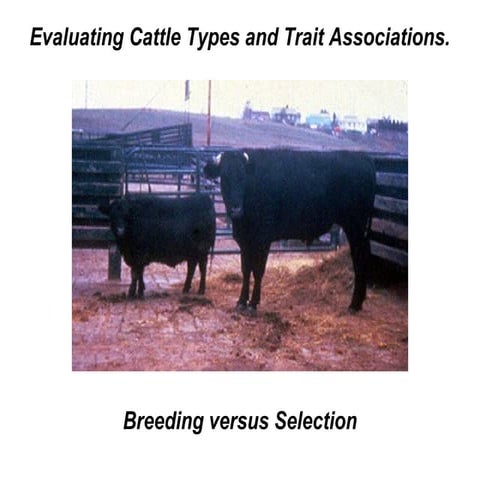 Economic productive trait of cattle part 2.pptx