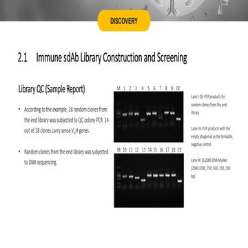 Library QC (Sample Report) | PPT
