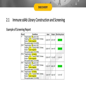 Example of Screening Report | PPT
