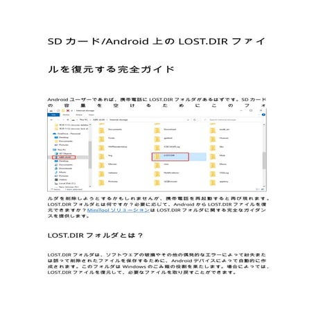 SDカードおよびAndroid上のLOST.DIRファイルを復元する【完全ガイド】 | PDF
