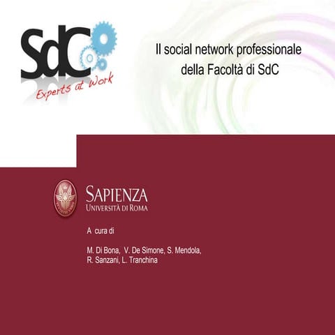 Sdc Experts At Work | PPT