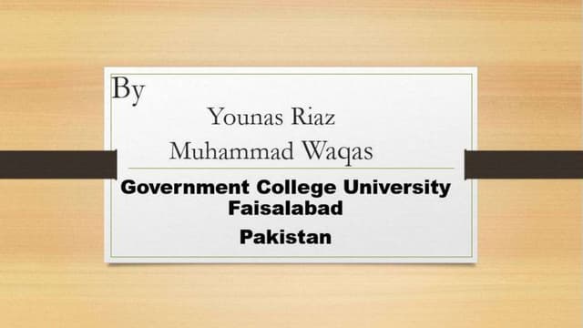 Schaie's cognitive theory | PDF