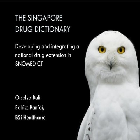Singapore Drug Dictionary - Developing and integrating a national drug ...