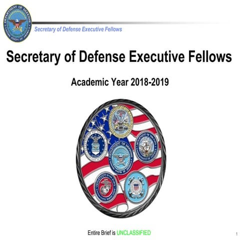 SDEF DoD Executive Outbrief AY18-19.pptx
