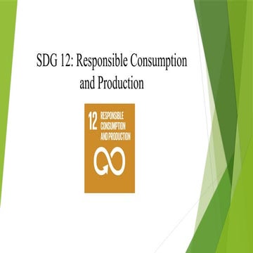 Sustainable Development Goals 12: Responsible Consumption and ...