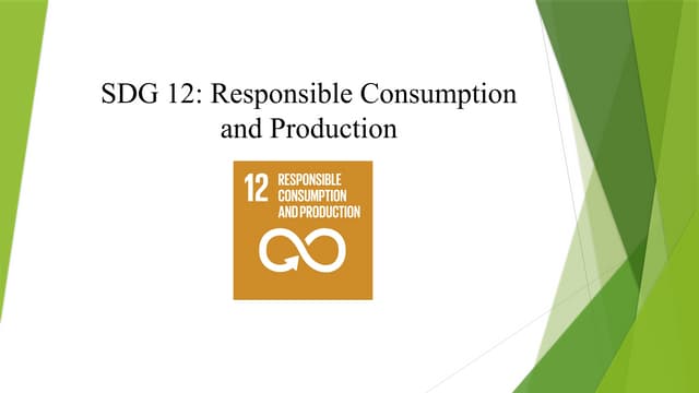 SDG 12 Responsible Consumption & Production.pptx
