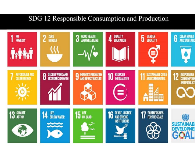 SDG 12 Responsible Consumption & Production.pptx