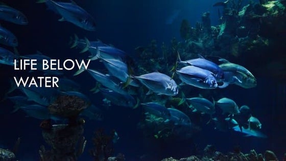 Life Below Water.pptx