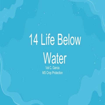 SDG14_Life_Below_Water_Presentation.pptx