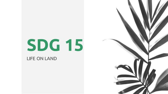 Sdg 8 presentation | PDF