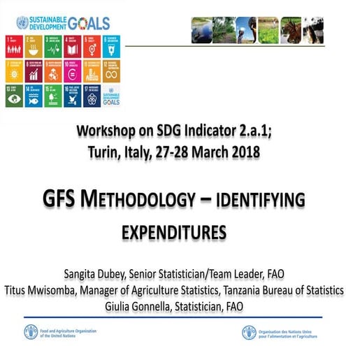 Workshop on SDG Indicator 2.a.1, Turin, Italy, March 2018 - GFS ...