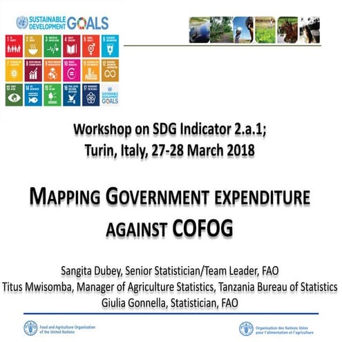 Workshop on SDG Indicator 2.a.1, Turin, Italy, March 2018 - Mapping ...