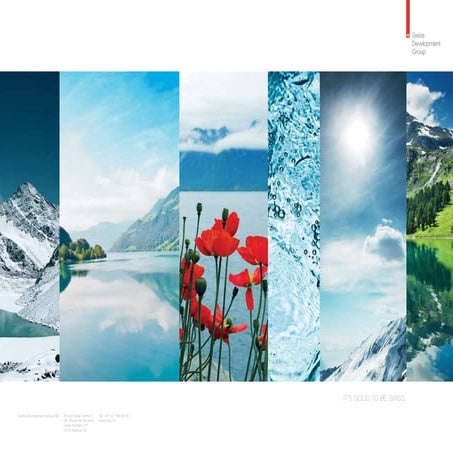 Swiss Development Group Brochure | PPT