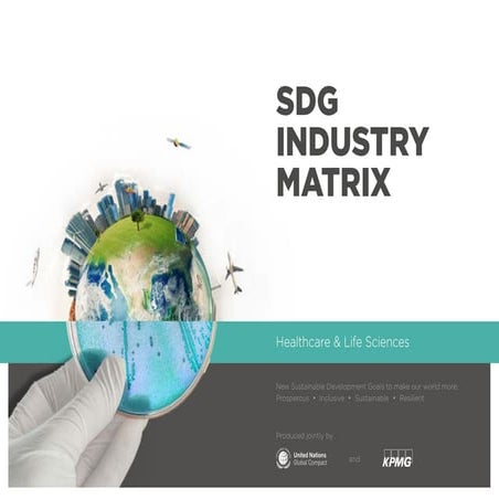 Sdg matrix healthcare | PPT