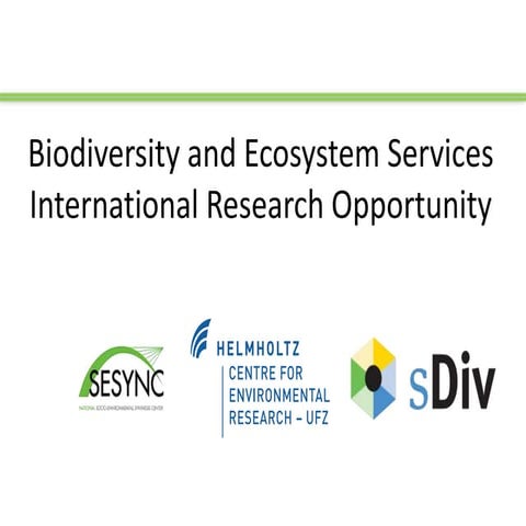 S div bes-slidesh | PPTX