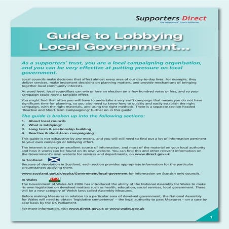 The Role of a Local Councillor | PDF
