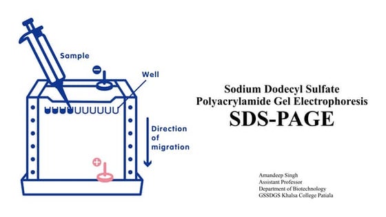 NCBI National Center for Biotechnology Information | PDF